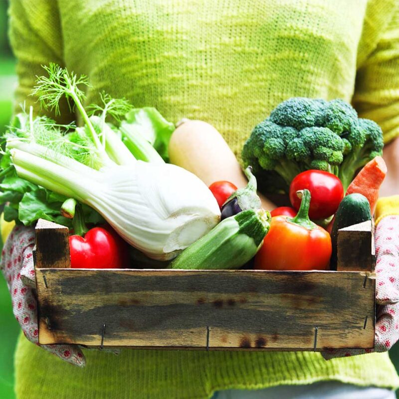 Country Gardens Farm – Local, All Natural, & Pasture Raised Foods